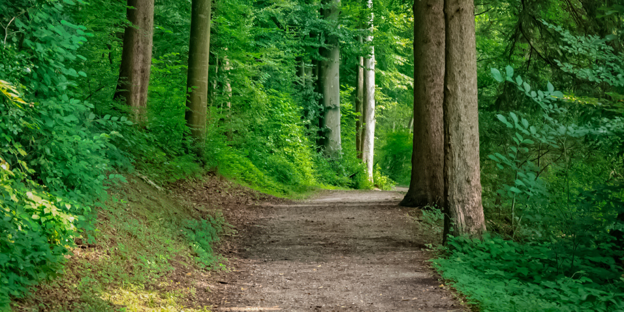 Zen-Tag am Samstag, 13. Mai 2023 (hybrid) - Zen in Wien